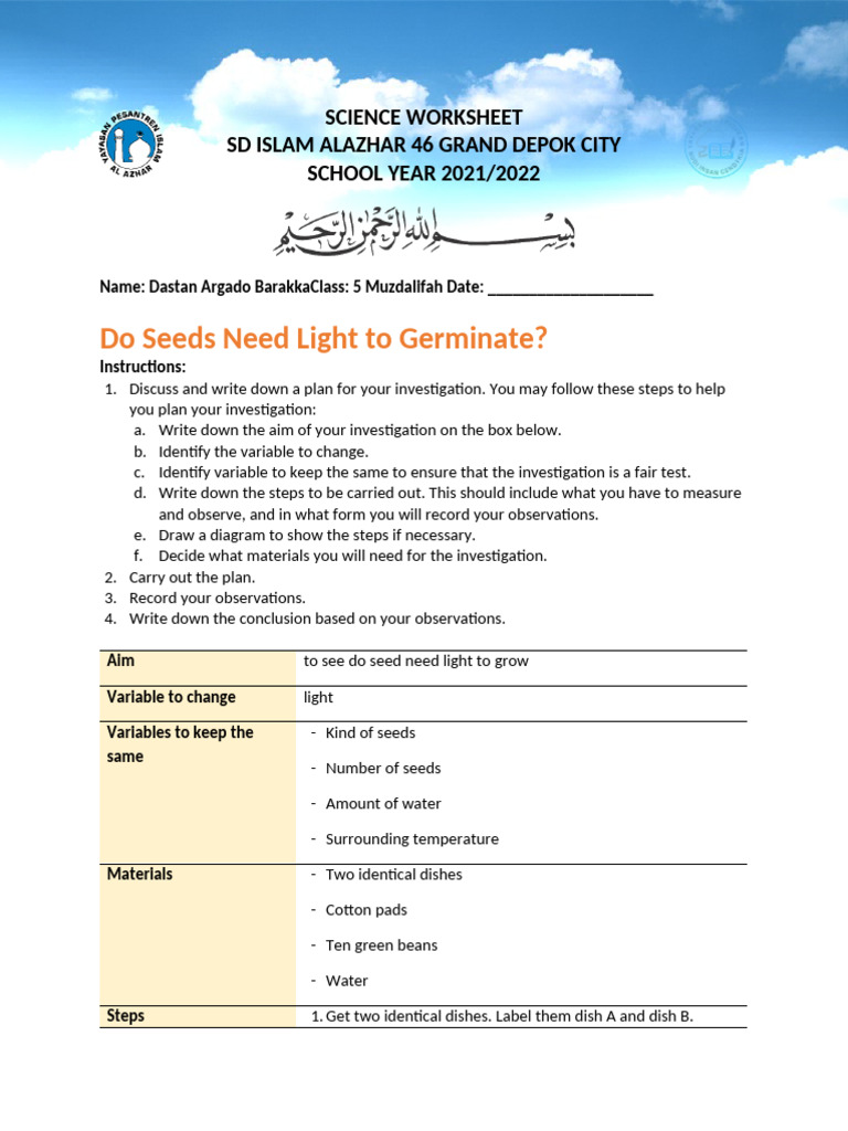Do Seeds Need Light To Grow (Fill In) | PDF | Seed | Germination