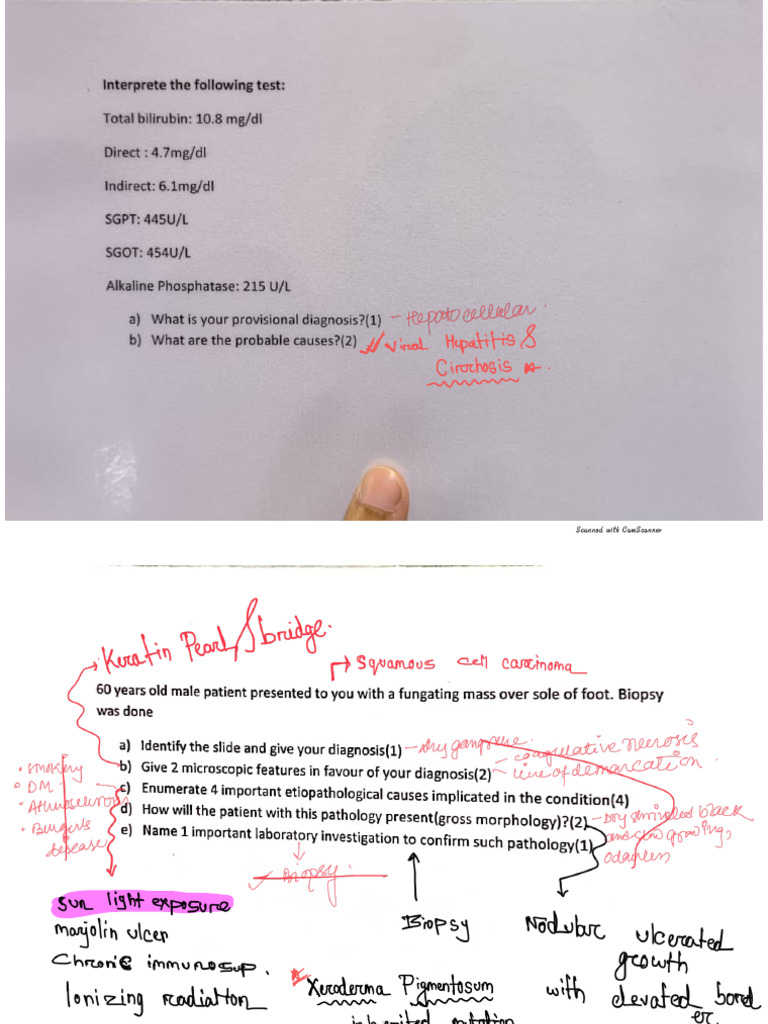 Pathology Clinical Cards | PDF | Diseases And Disorders | Clinical Medicine
