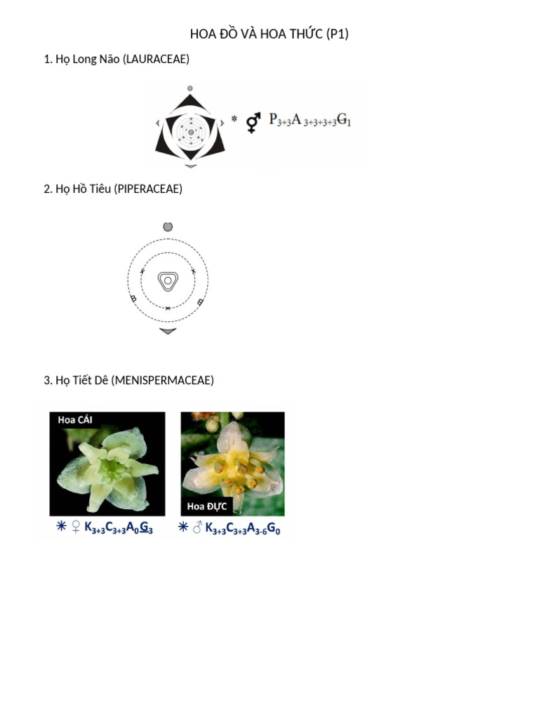 Hoa Đ Và Hoa TH C | PDF