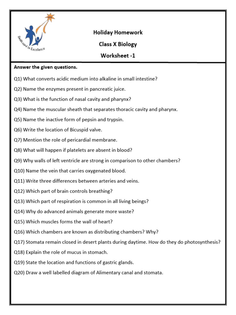 Class 10 Bio Worksheet 1 | PDF