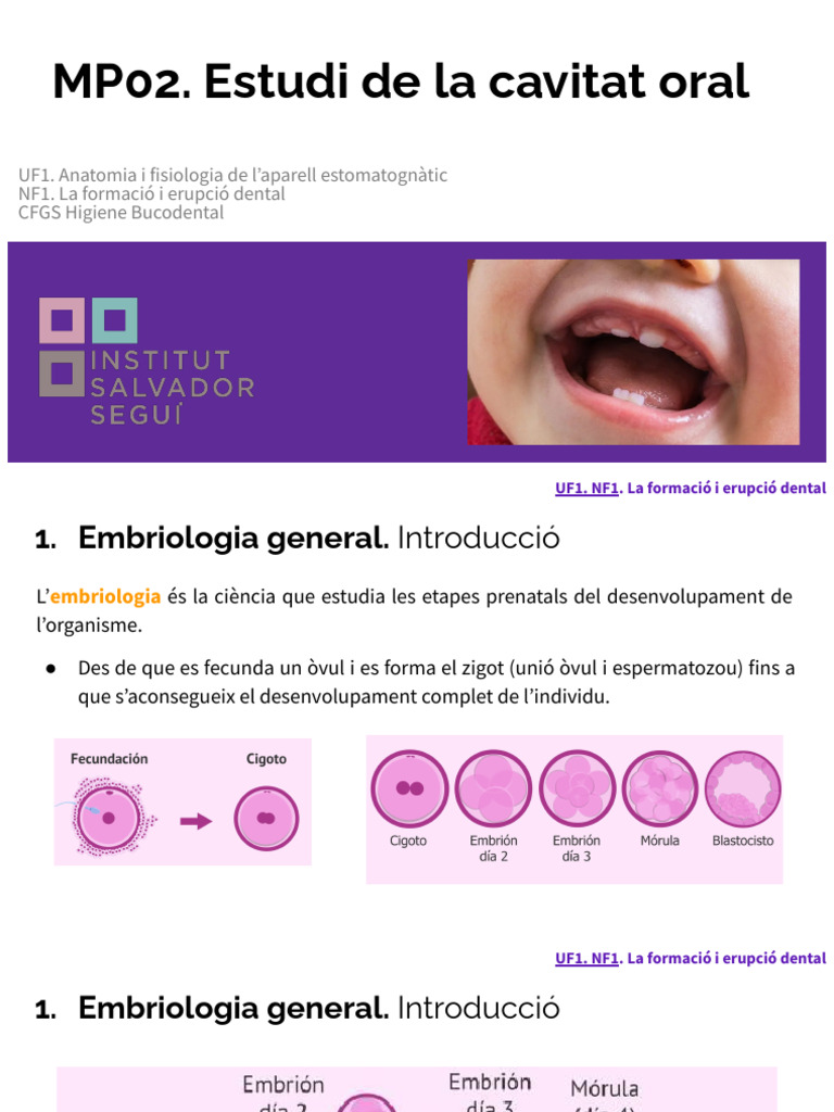 Estudi de La Cavitat Oral - Anatomia Dental | PDF