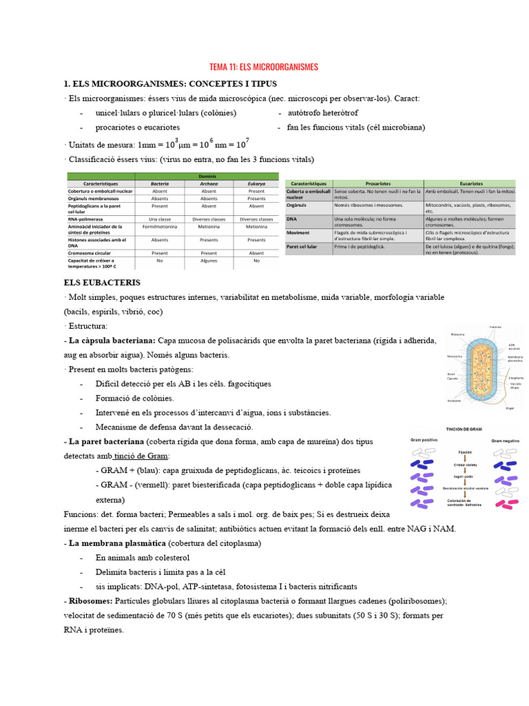 Tema 11 - Els Microorganismes | PDF
