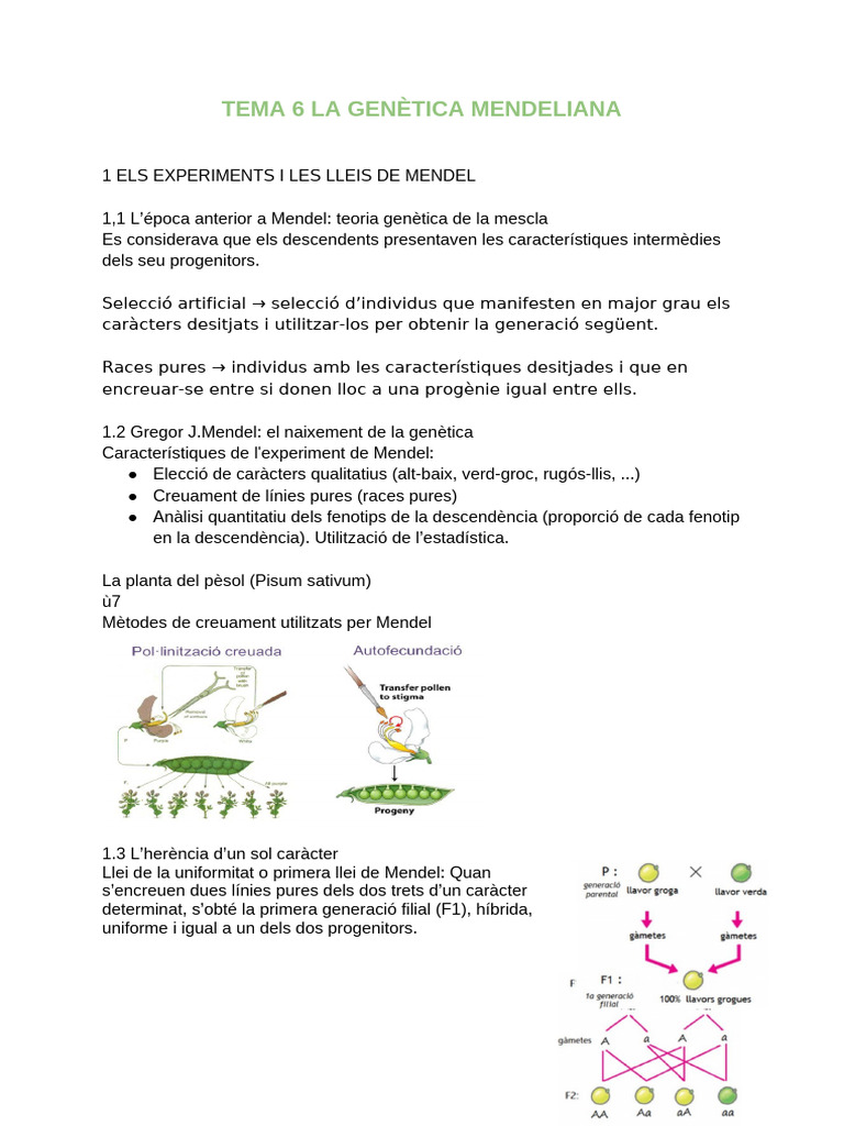 TEMA 6 LA GENÈTICA MENDELIANA | PDF