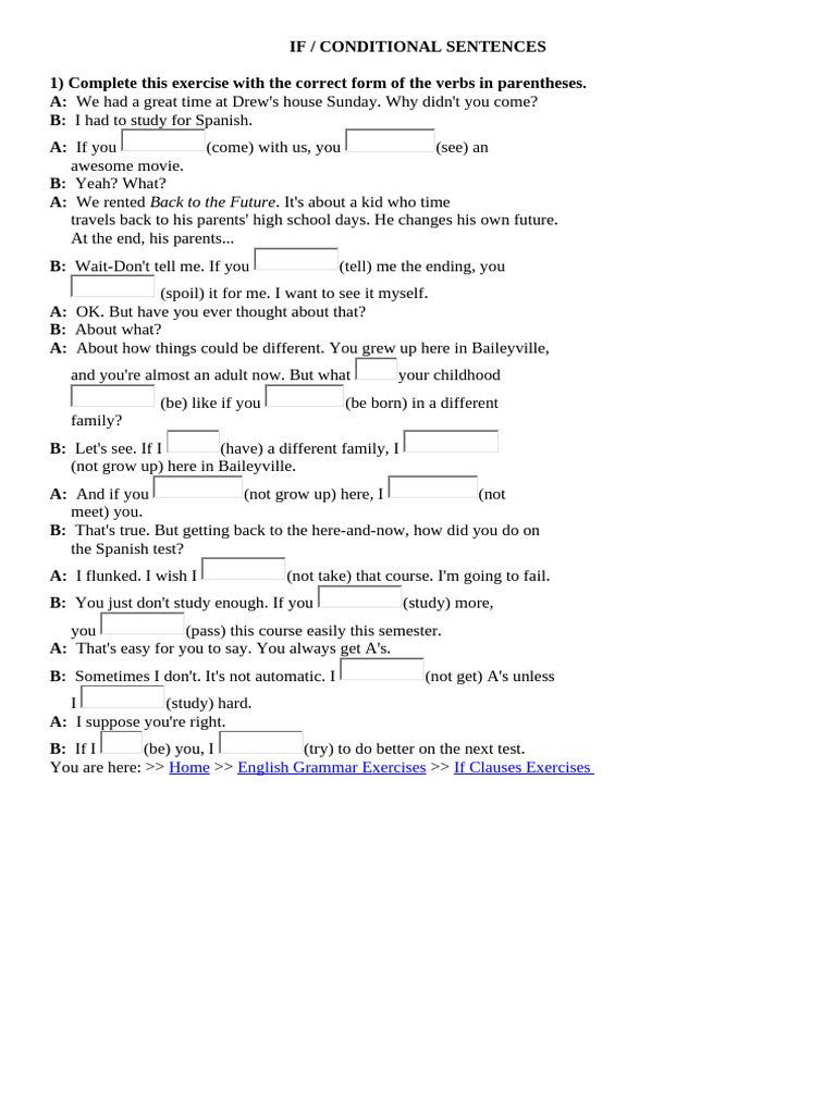 If Clauses Exercises | PDF