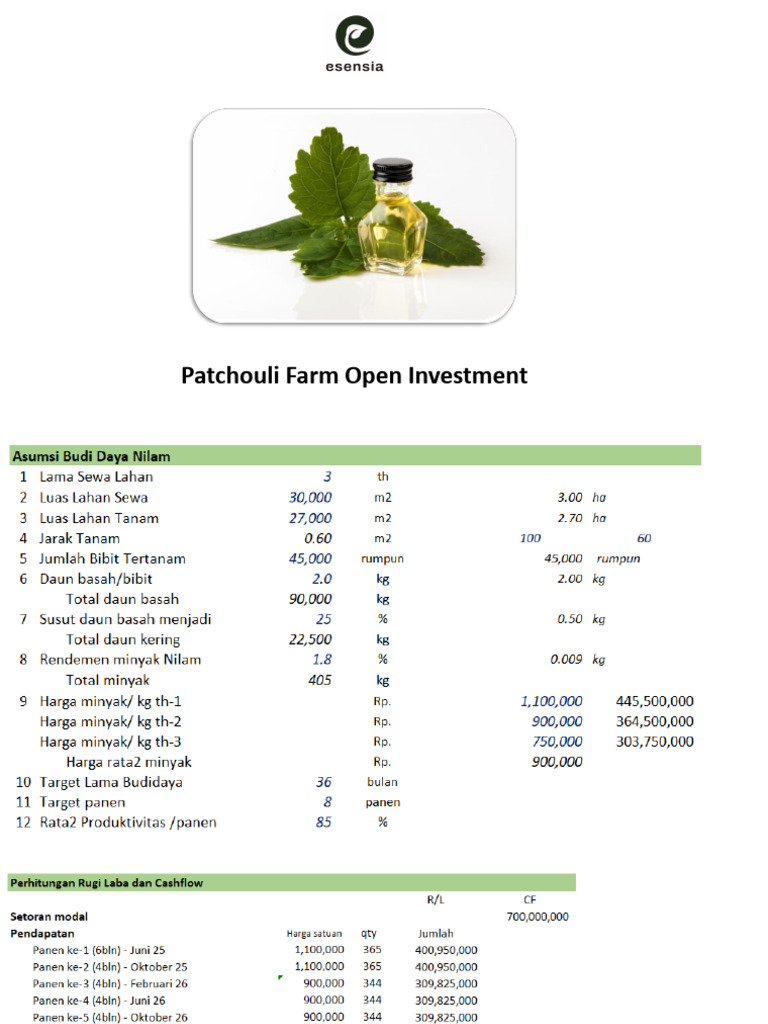 Investment Opportunities - Esensia Nilam Farm | PDF