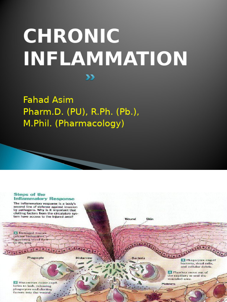 Chronic Inflammation Overview | PDF | Inflammation | Macrophage
