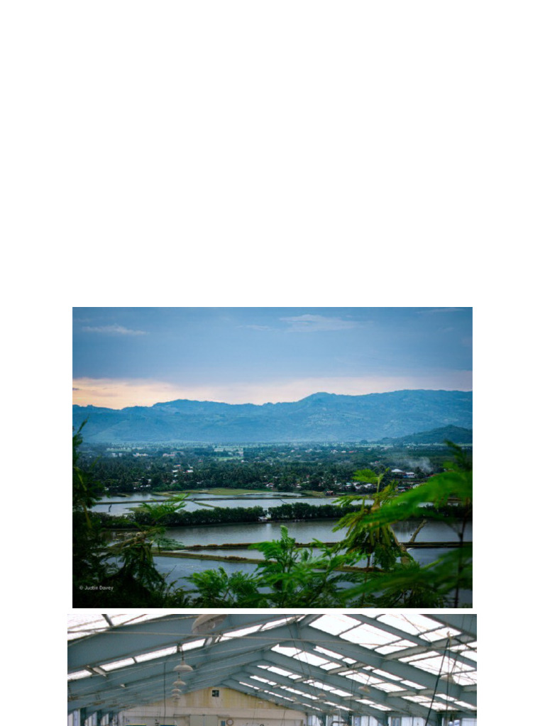 Fish Pond, Cage & Pen | PDF | Anchor | Water