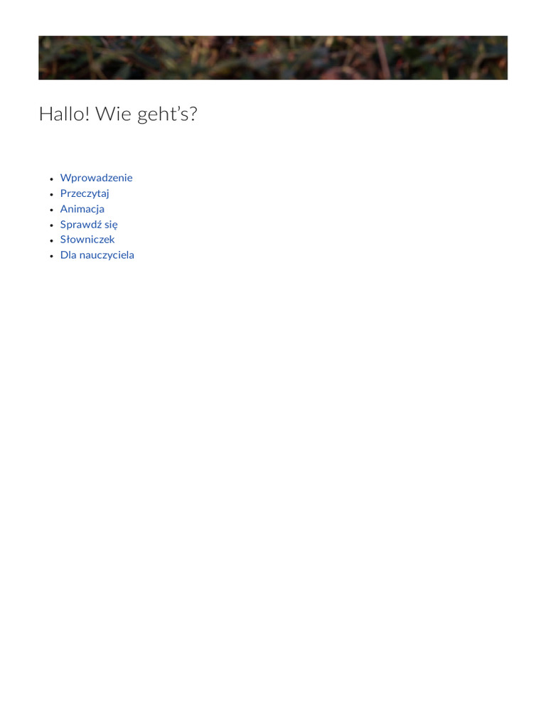 Hallo Wie Gehts | PDF