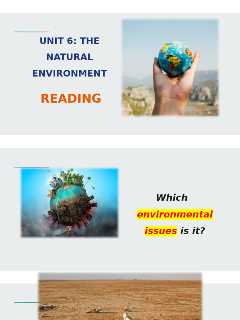 6 - The Natural Environment | PDF | Zoo | Natural Environment