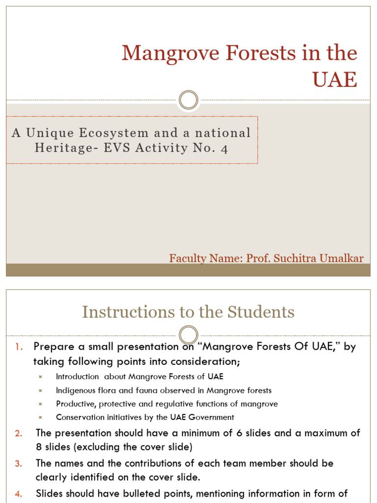 EVS Activity - 4- Functions of Forest | PDF
