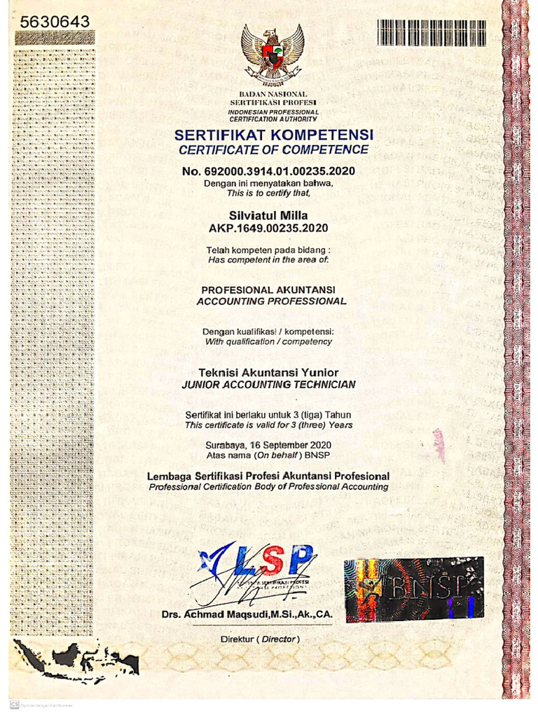 Sertifikat Akuntansi | PDF
