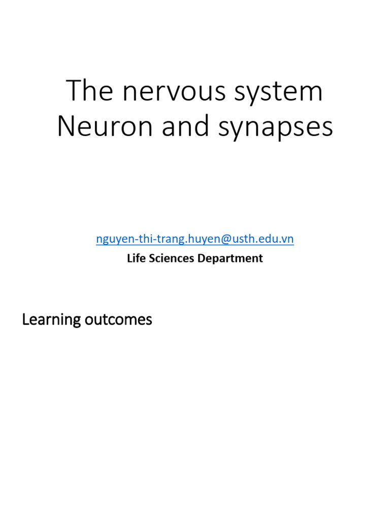 Lecture 2 Neuron and synap | PDF | Action Potential | Neurotransmitter