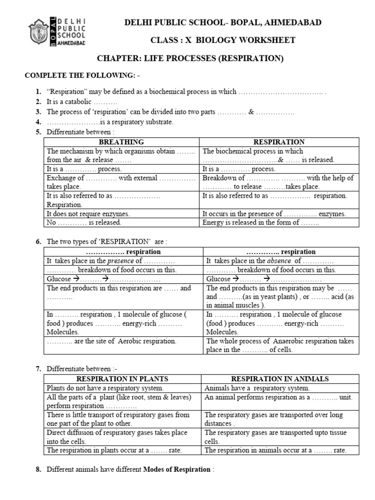 10_Ch 5_Worksheet- Respiration | PDF | Respiratory System | Cellular Respiration
