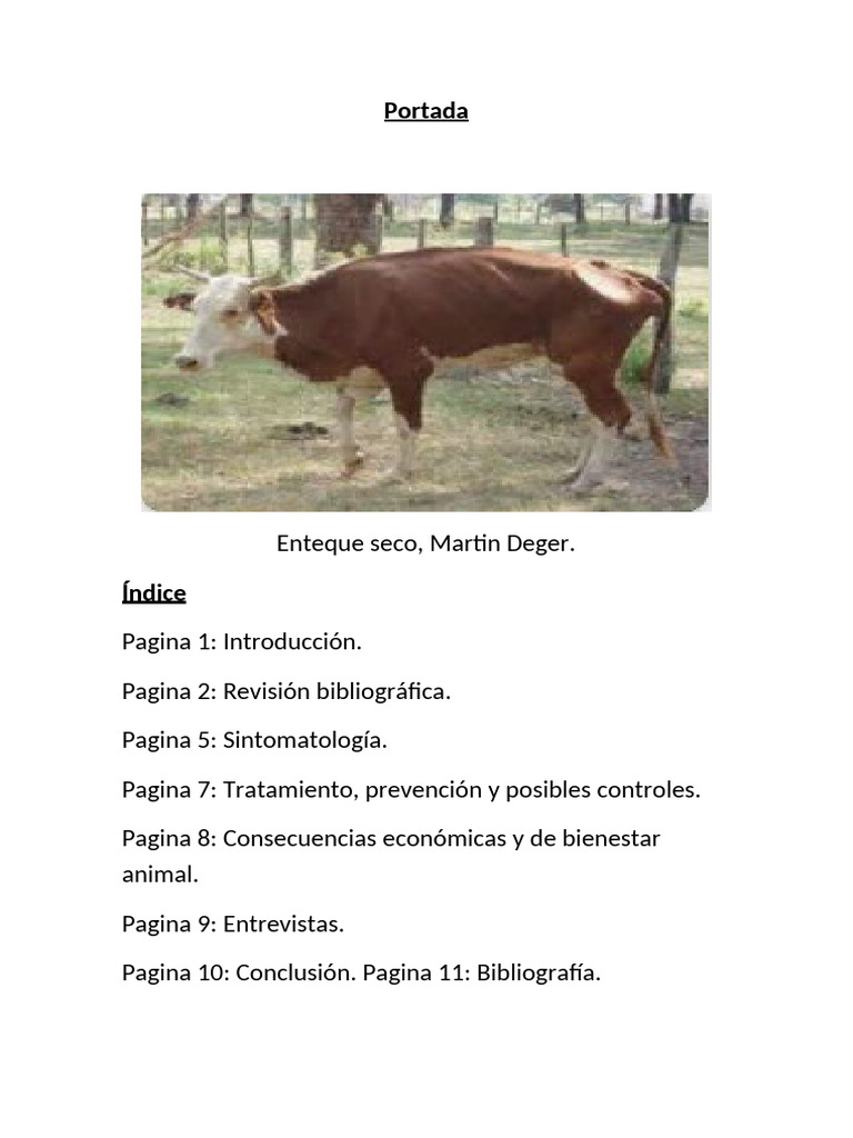 Enteque Sec1 | PDF