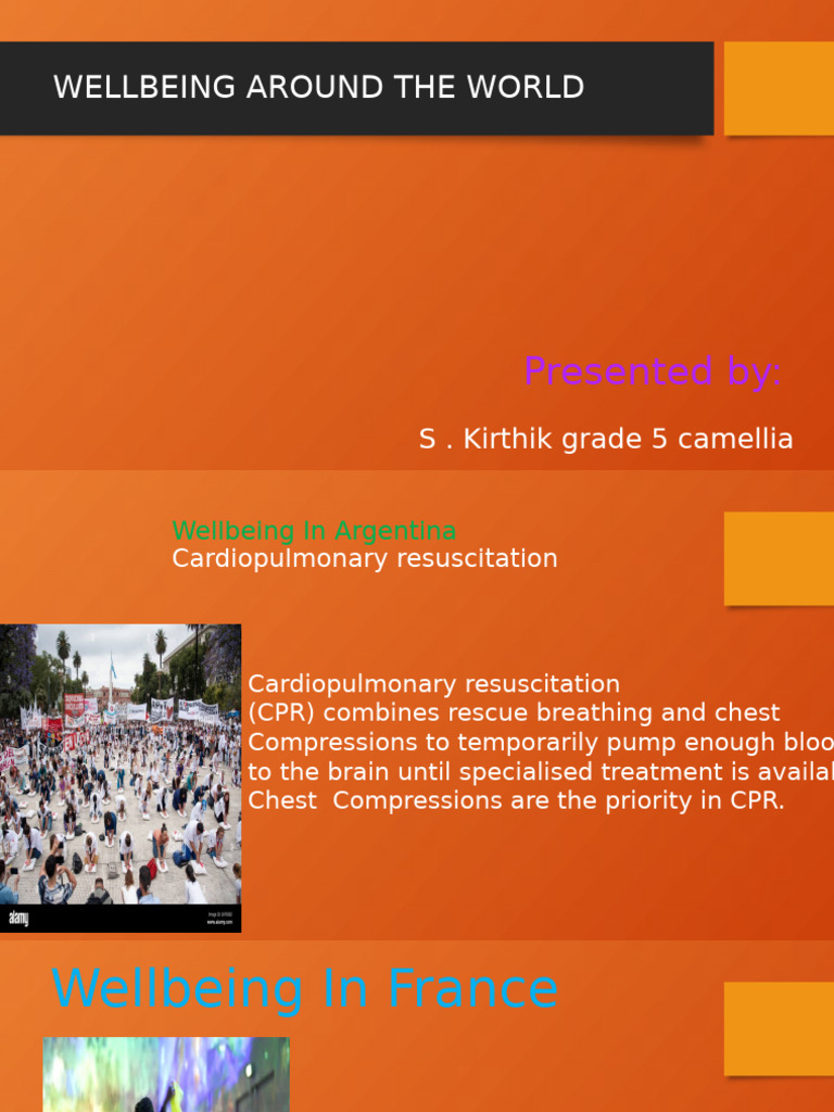 Wellbeing Around The World-2 | PDF