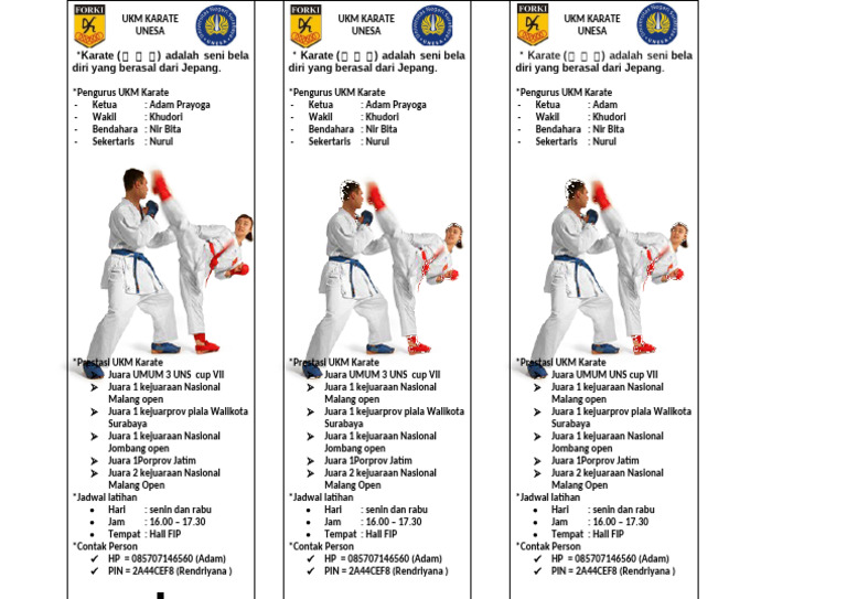 Brosur Ukm Karate Unesa | PDF