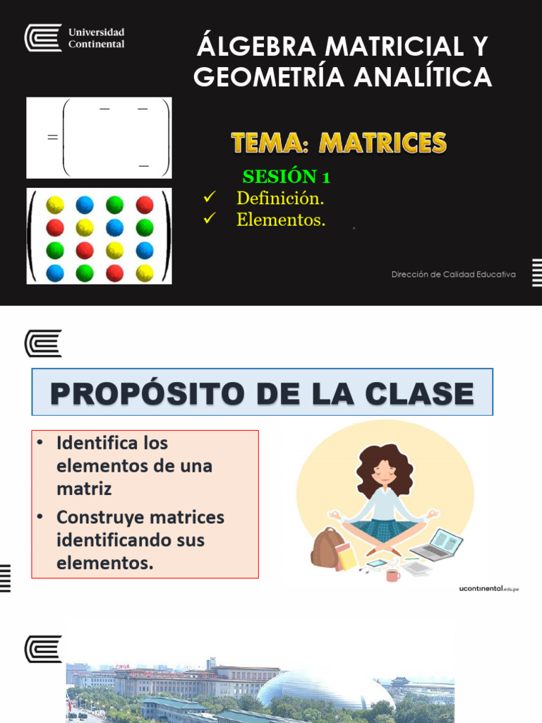 Definición y Tipos de Matrices | PDF | Matriz (Matemáticas) | Escalar ...