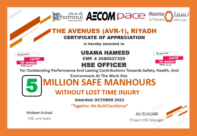 Usama Hameed: Safety Excellence Award | PDF