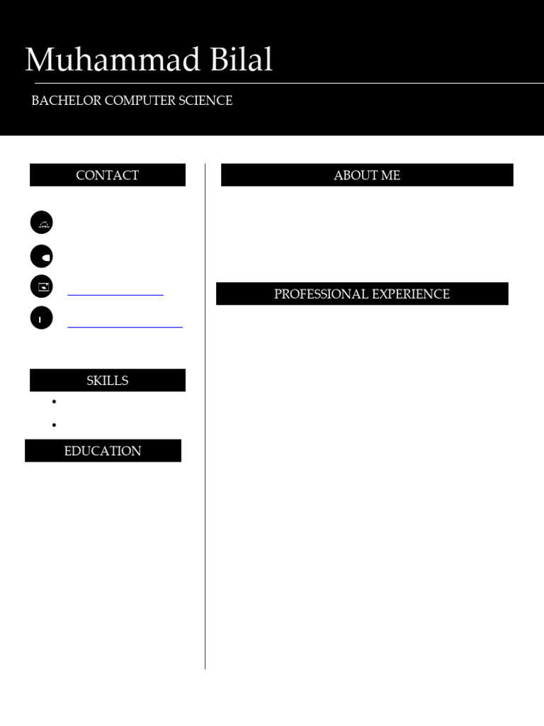 Bilal CV 2021 New | PDF