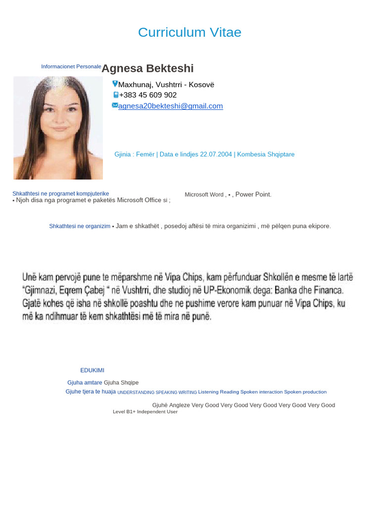 CV - Ab | PDF