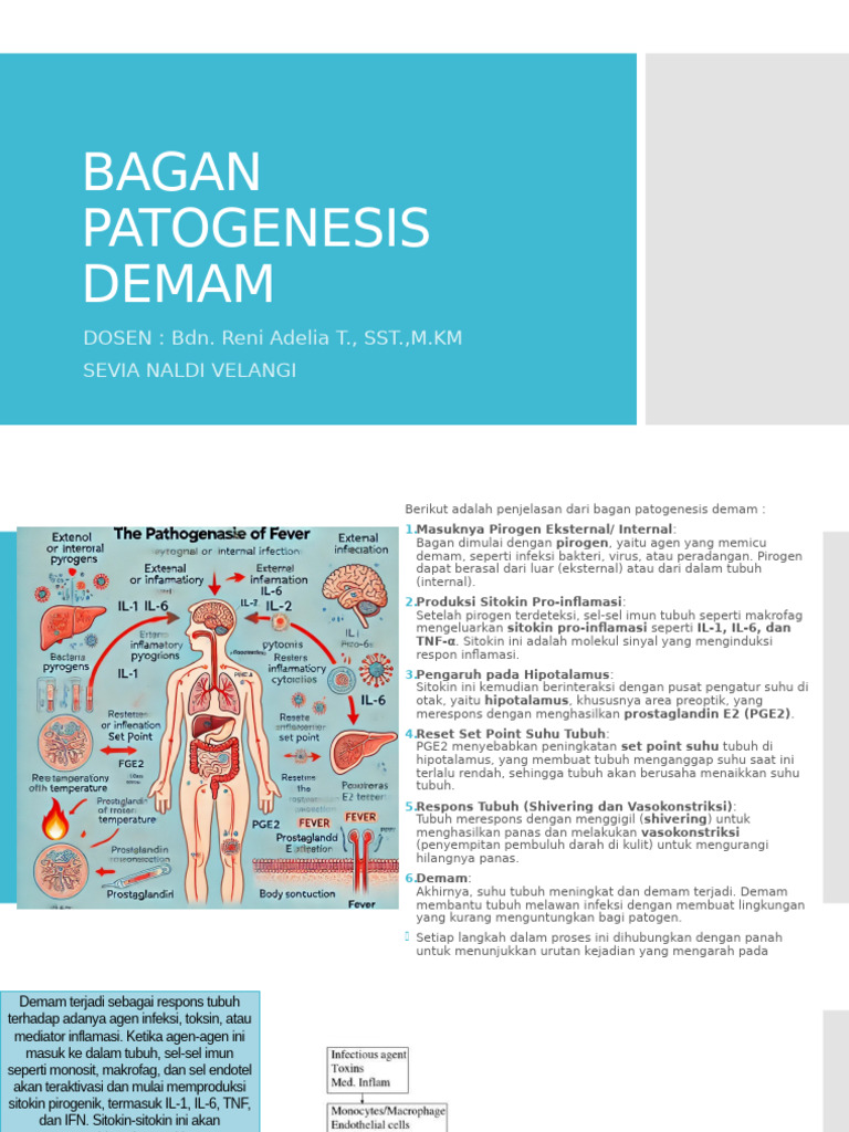 Patogenesis Demam: Proses dan Mekanisme | PDF