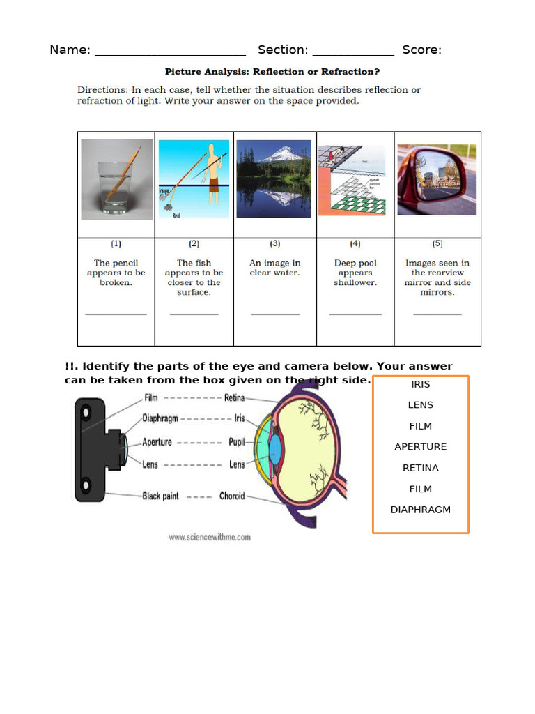 Eye and Camera Parts Quiz | PDF