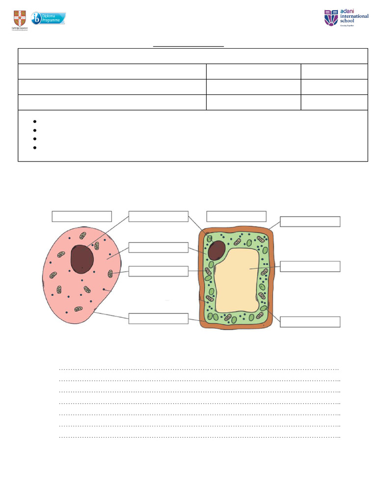 Science_G6_Revision_Worsheet_4 | PDF