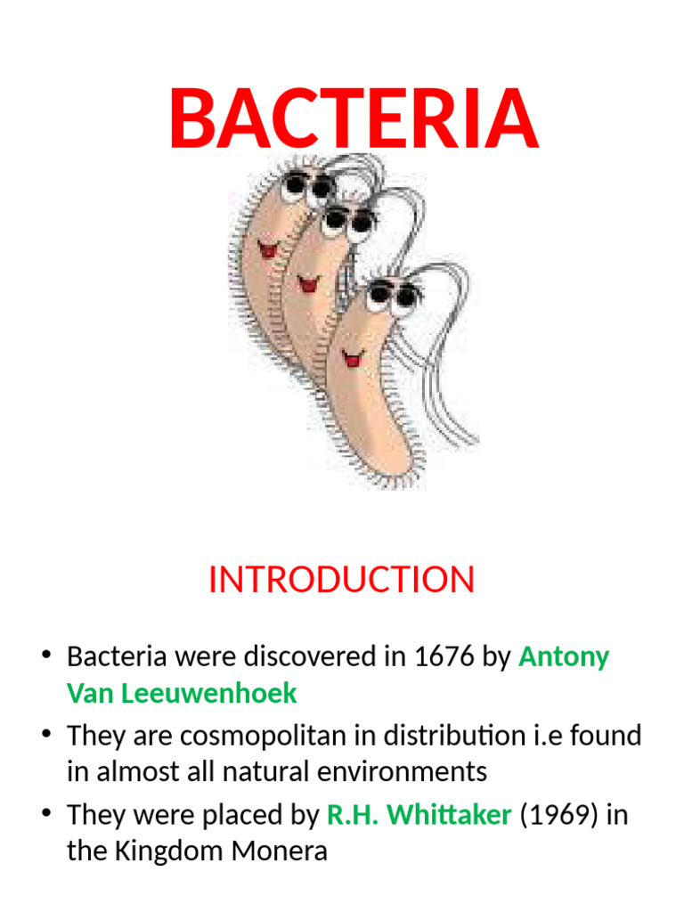 bacteria | PDF | Bacteria | Cell (Biology)