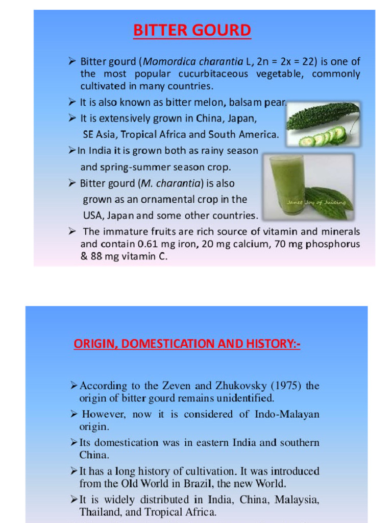 Bitter Gourd | PDF
