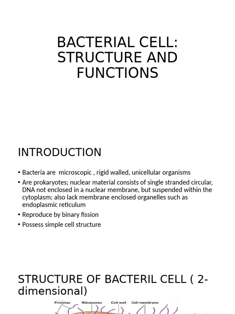 BACTERIAL CELL STRUCTURE AND FUNCTIONS | PDF | Cell (Biology) | Bacteria