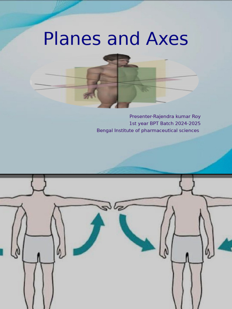 Shoulder Movement: Planes and Axes | PDF