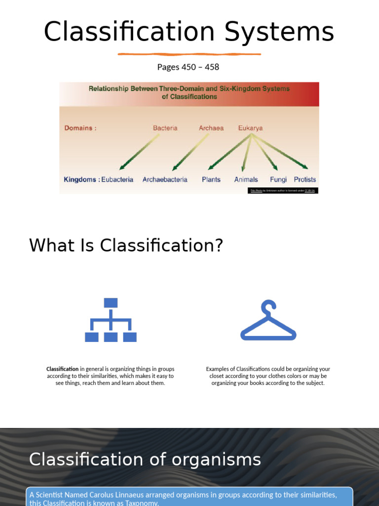 Classification Systems 8 | PDF | Eukaryotes | Bacteria