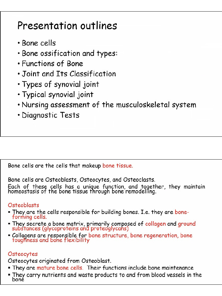 Musculoskeletal 2 | PDF