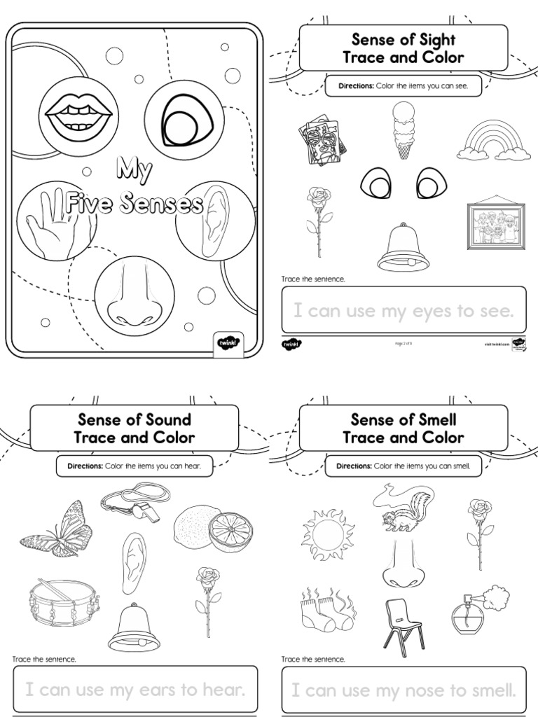 My Five Senses Activity Booklet | PDF | Senses | Mental Processes