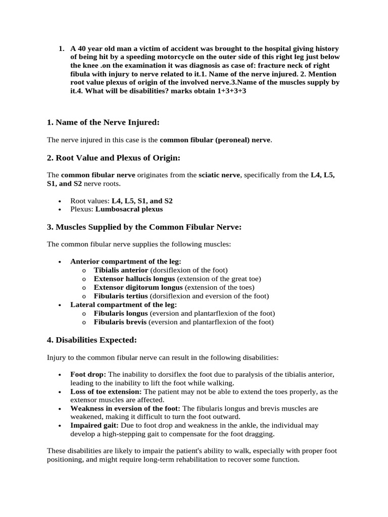 lower limb | PDF | Human Leg | Foot
