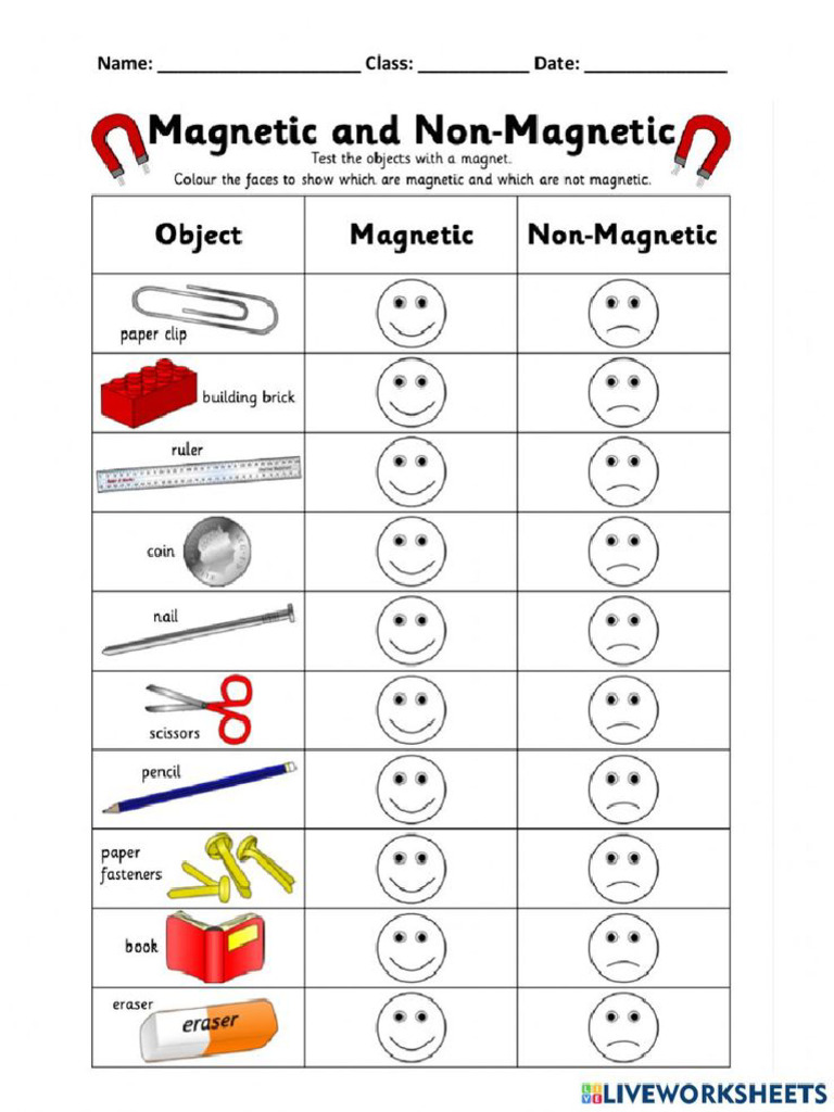 Magnetic or Non-Magnetic WS Worksheet | PDF