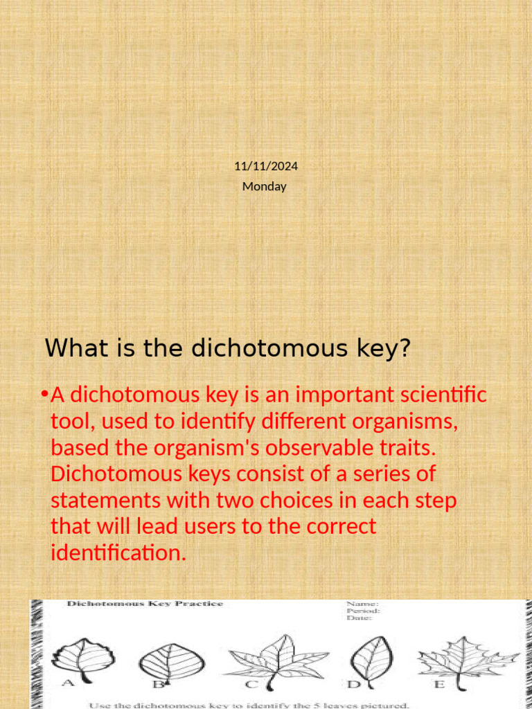 Dichotomous KEY | PDF