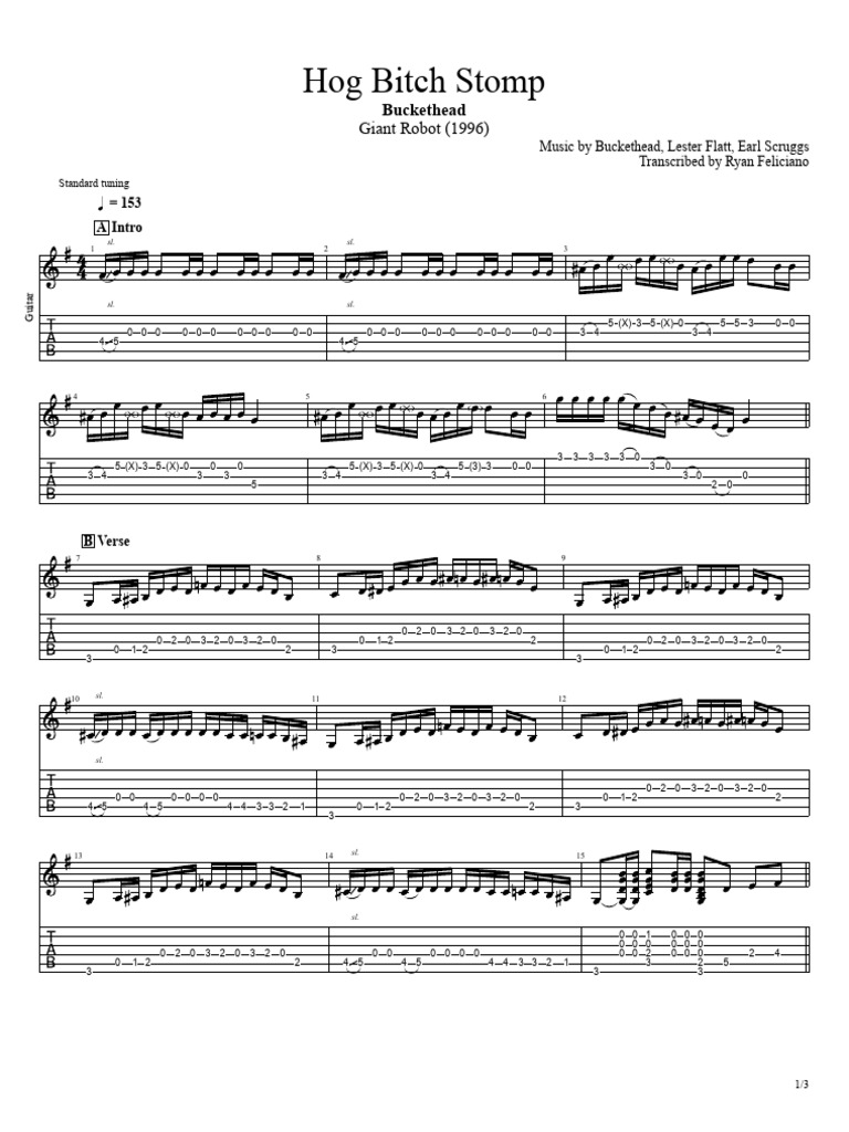 Hog Bitch Stomp (Guitar) | PDF