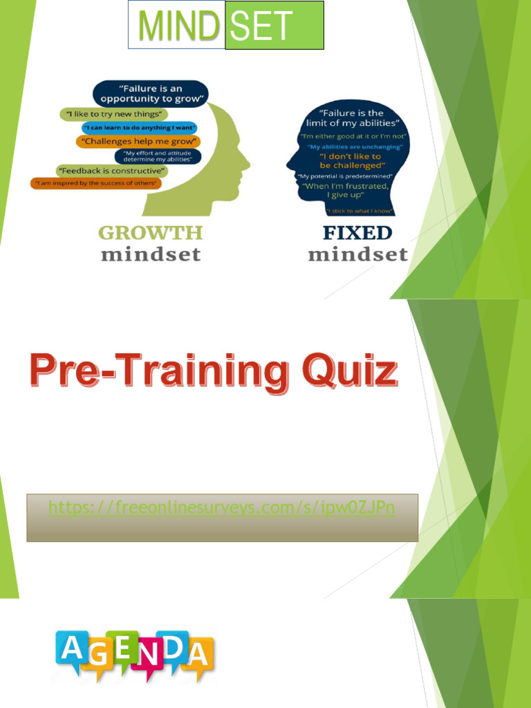 Mindset | PDF | Mindset | Psychology