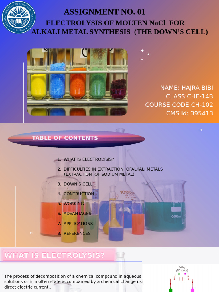 Assignment 1 395413 Down Cell | PDF | Sodium | Anode
