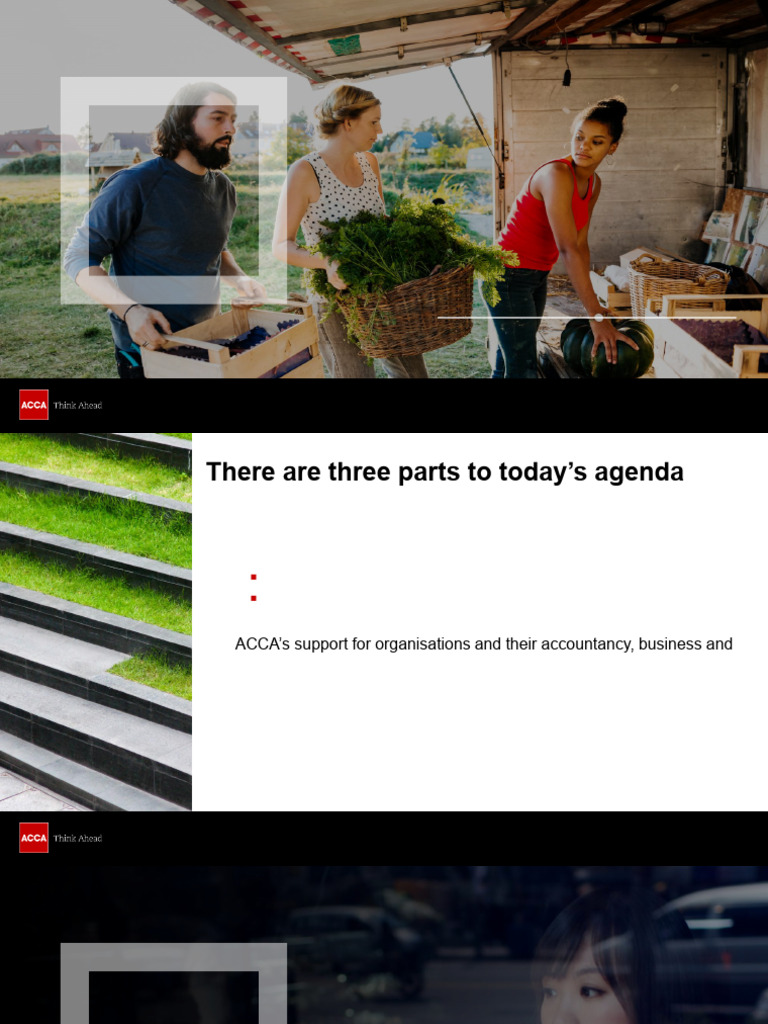 Finance focus drivers plus approach to sustainability reporting_V2 | PDF | Sustainability ...