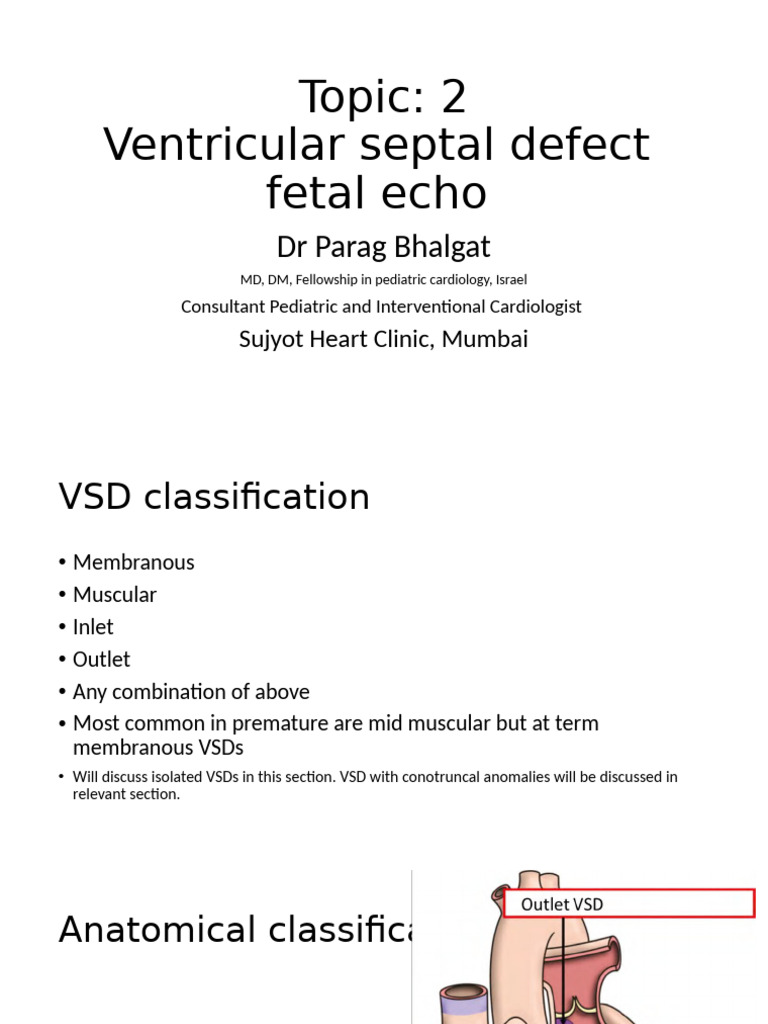 2 VSD Fetal | PDF