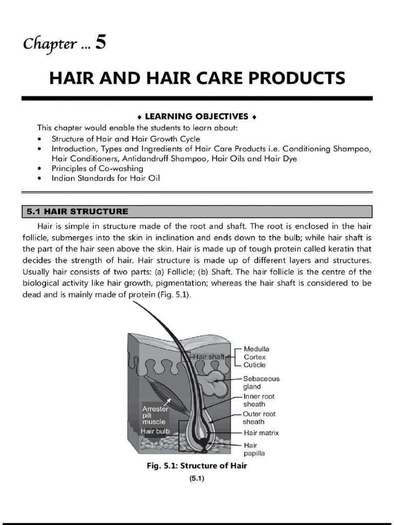 Hair | PDF