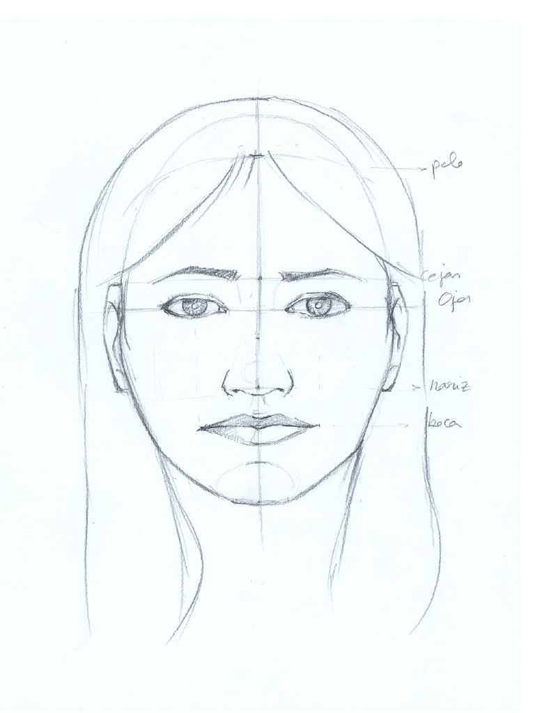 Proporciones Del Rostro | PDF