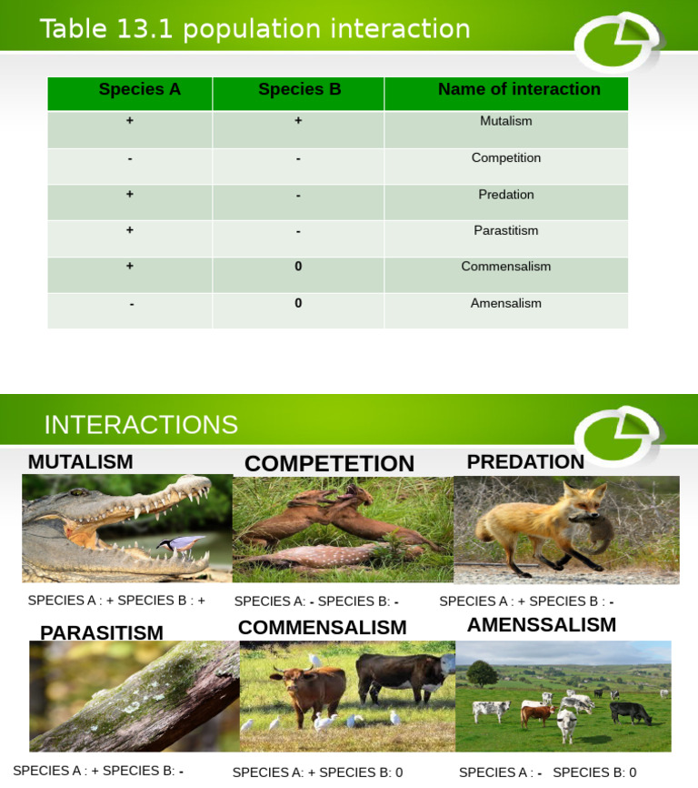 Population Interactions Bio | PDF