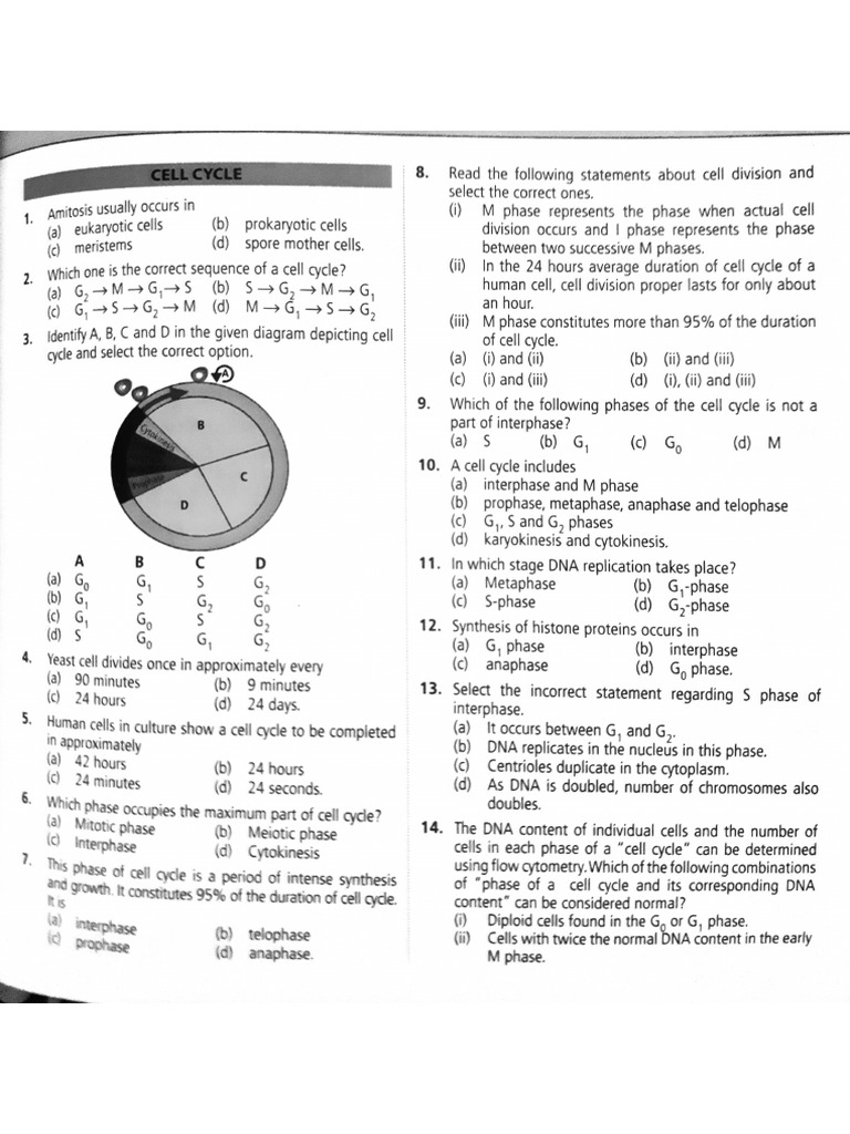 Cell Cycle and Division | PDF