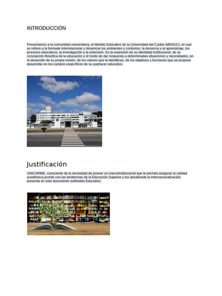 Expo-Experto Tema 1 | PDF
