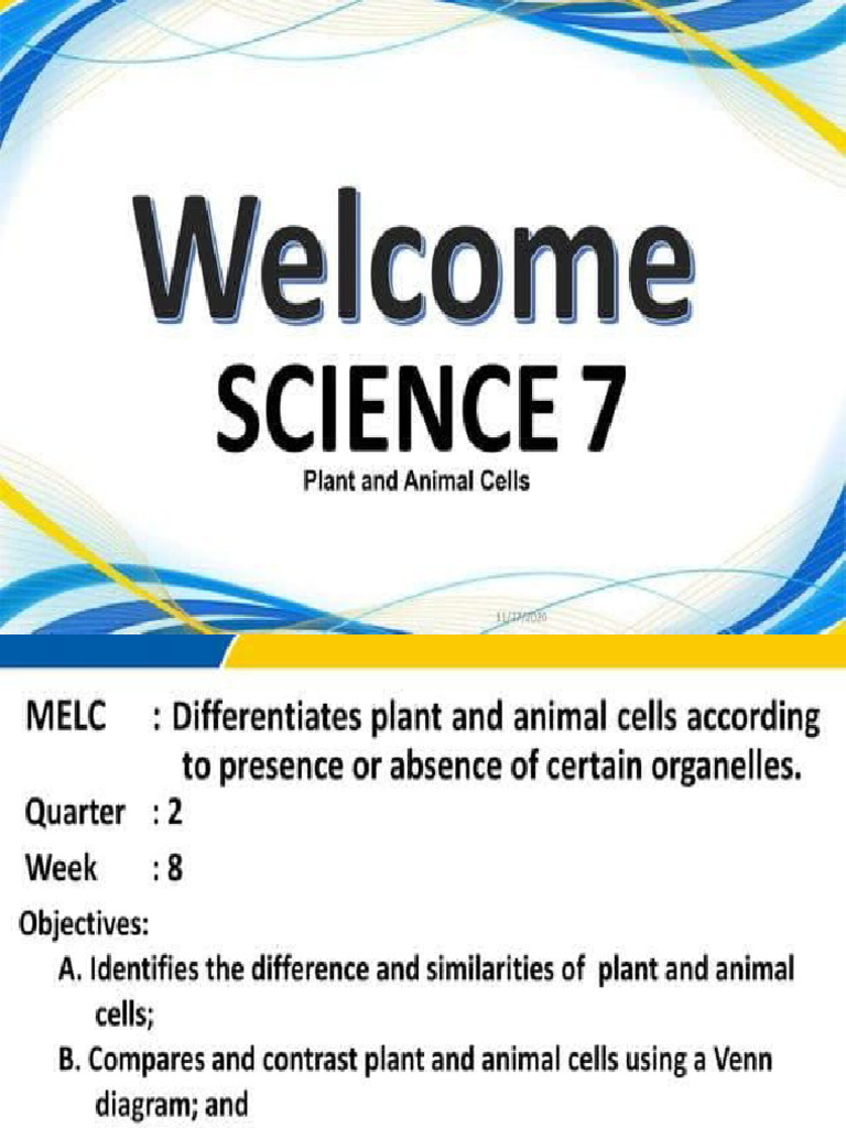 G7 Science Cell | PDF