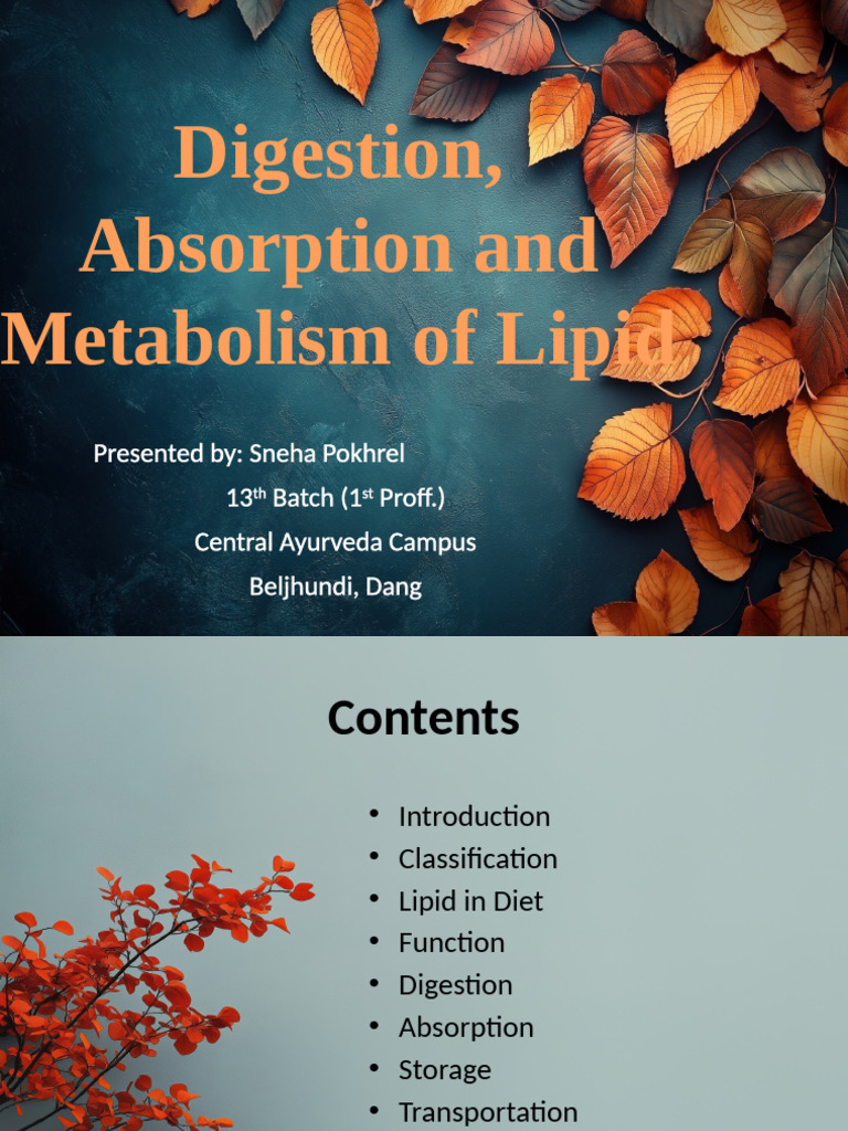 Lipid Digestion and Metabolism Overview | PDF | Lipoprotein | Lipid