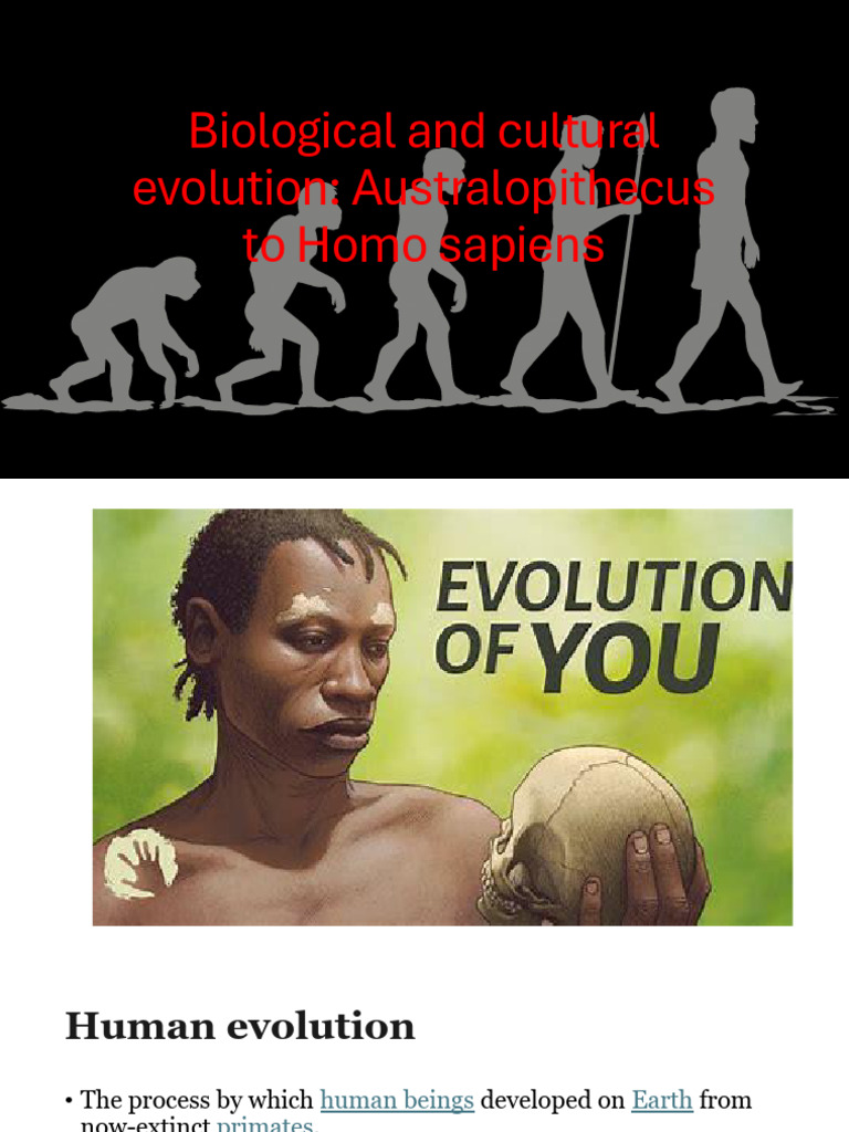 Evolution from Australopithecus to Humans | PDF
